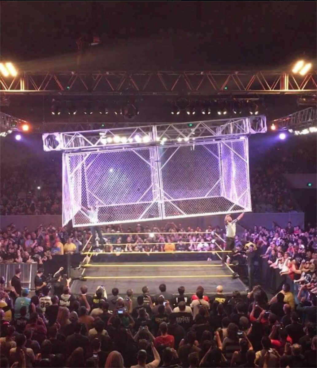 Steel Cage Wwe
